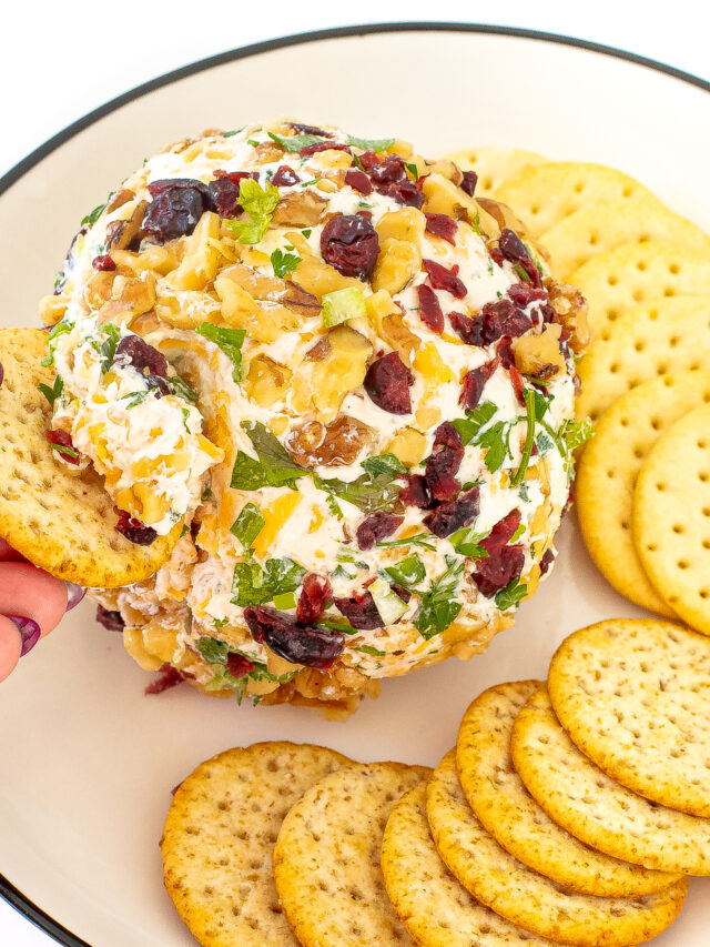 Easy Homemade Boursin Cheese - Chef Savvy